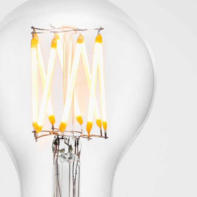 Light Bulbs | Sustainable Dimmable LED Light Bulbs | Tala – Tala EU